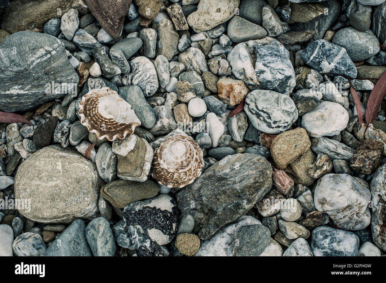 Seashells and Rocks, High Angle View Stock Photo - Alamy