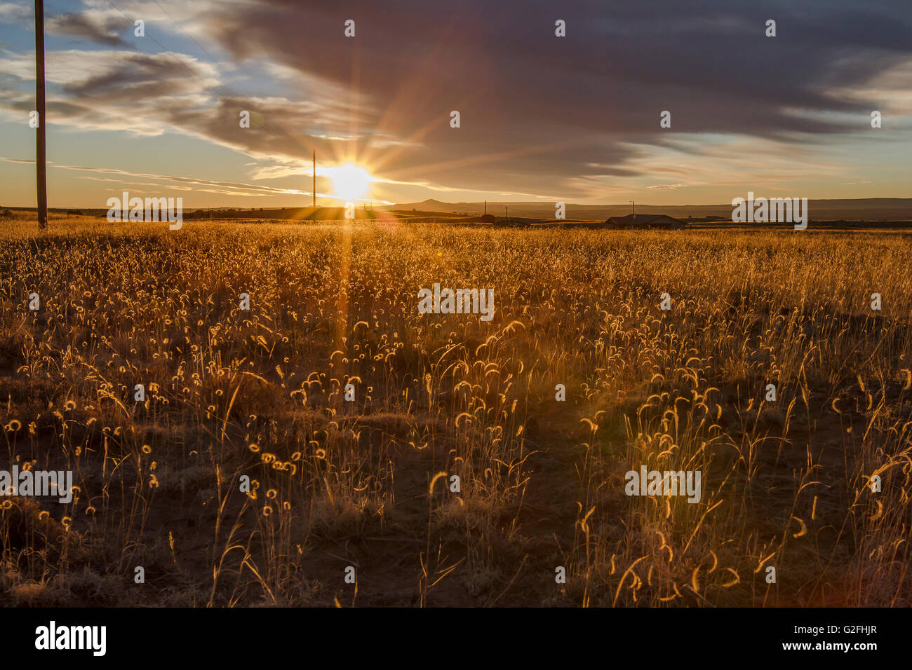 Reflecting field hi-res stock photography and images - Alamy