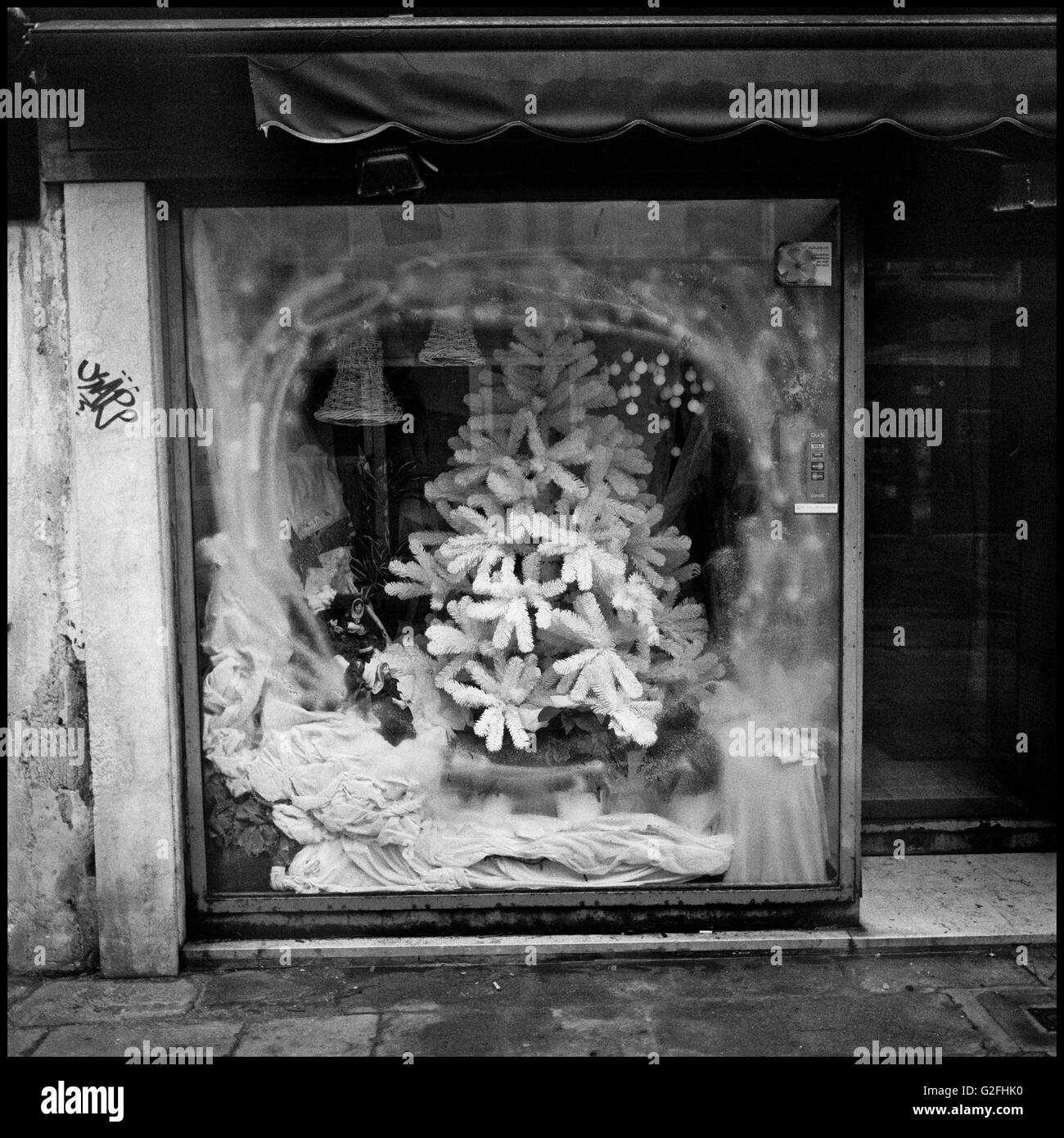 Christmas tree outside Black and White Stock Photos & Images - Alamy