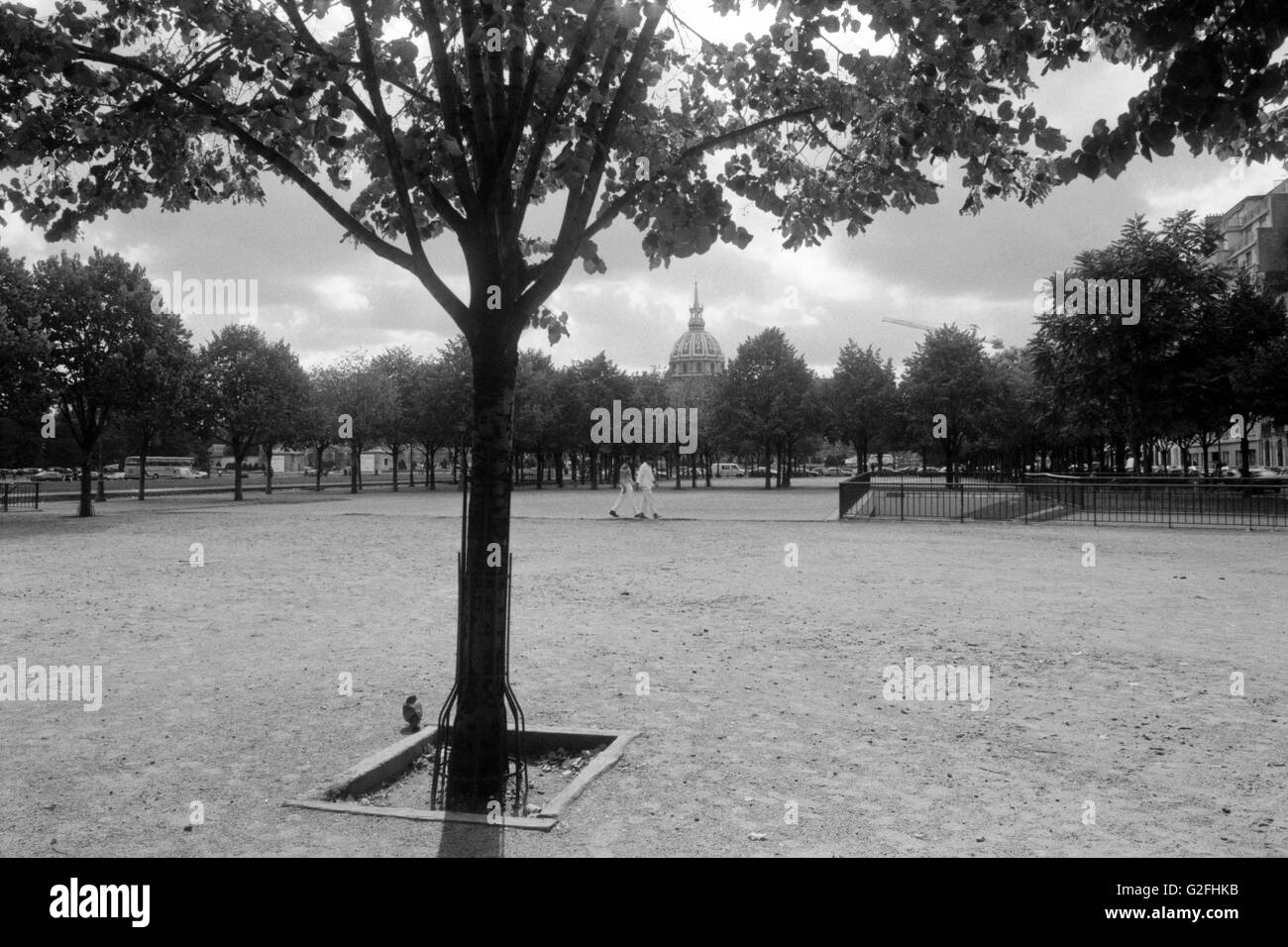 Trees Surrounding Open Space in Park, Paris, France Stock Photo - Alamy