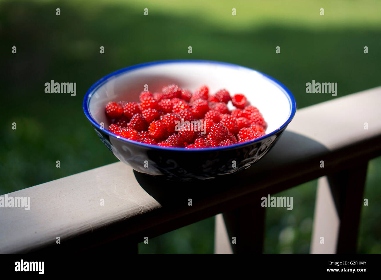 Bowl of Raspberries Stock Photo - Alamy