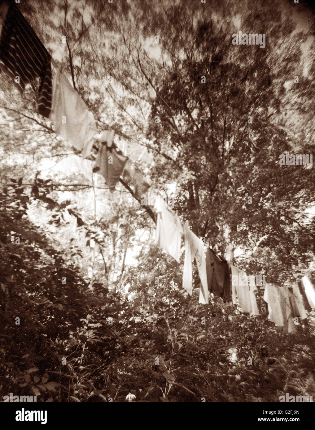 Clothes Hanging on Clothesline with Trees in Background Stock Photo - Alamy