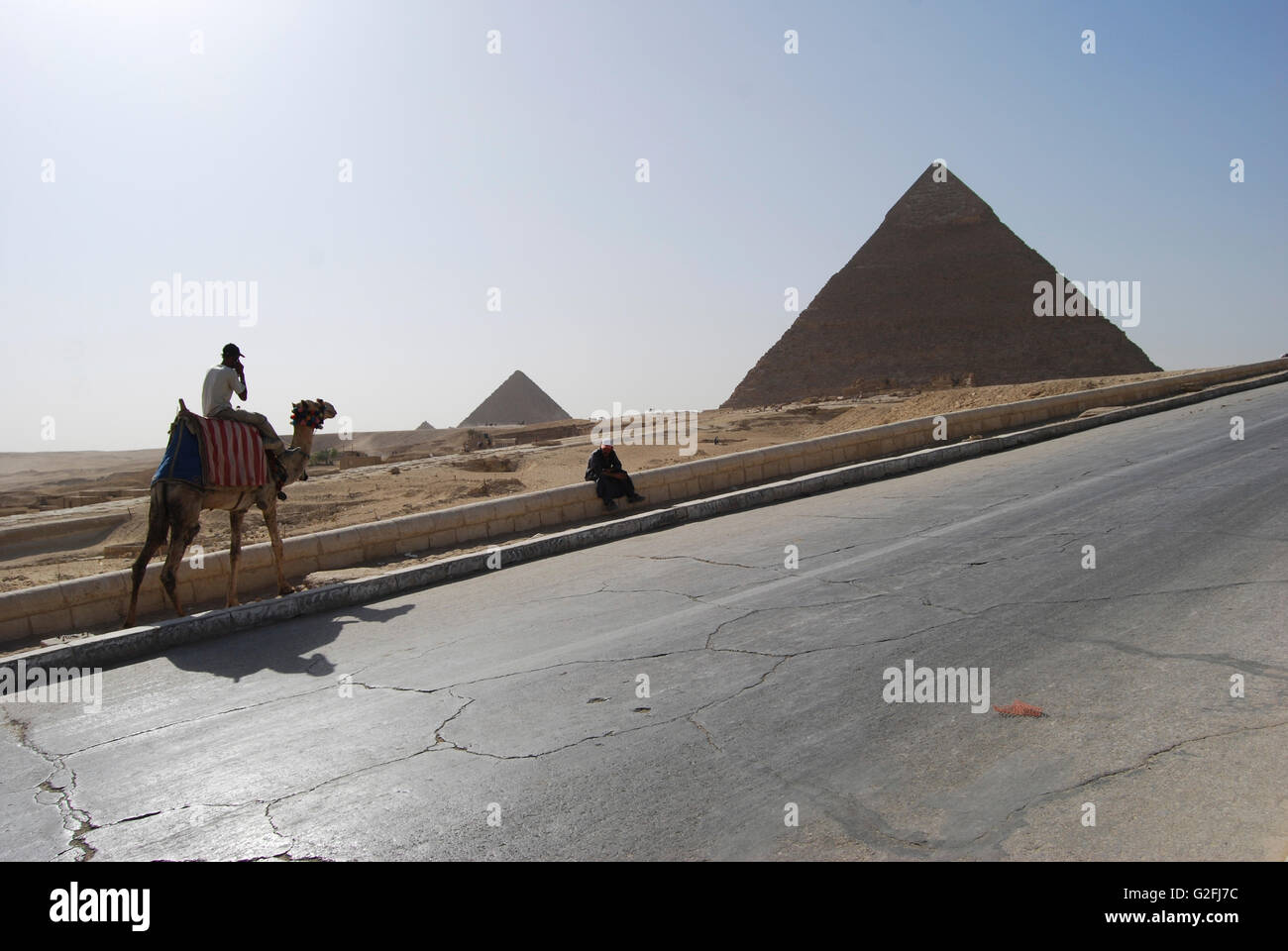 Man on Cellphone Riding Camel with Pyramids in Background, Giza, Egypt ...