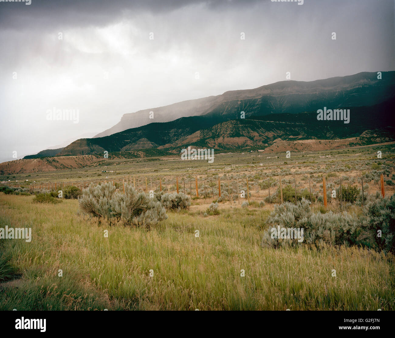 Landscape with Sagebrush and Mountains in Background, Colorado, USA ...