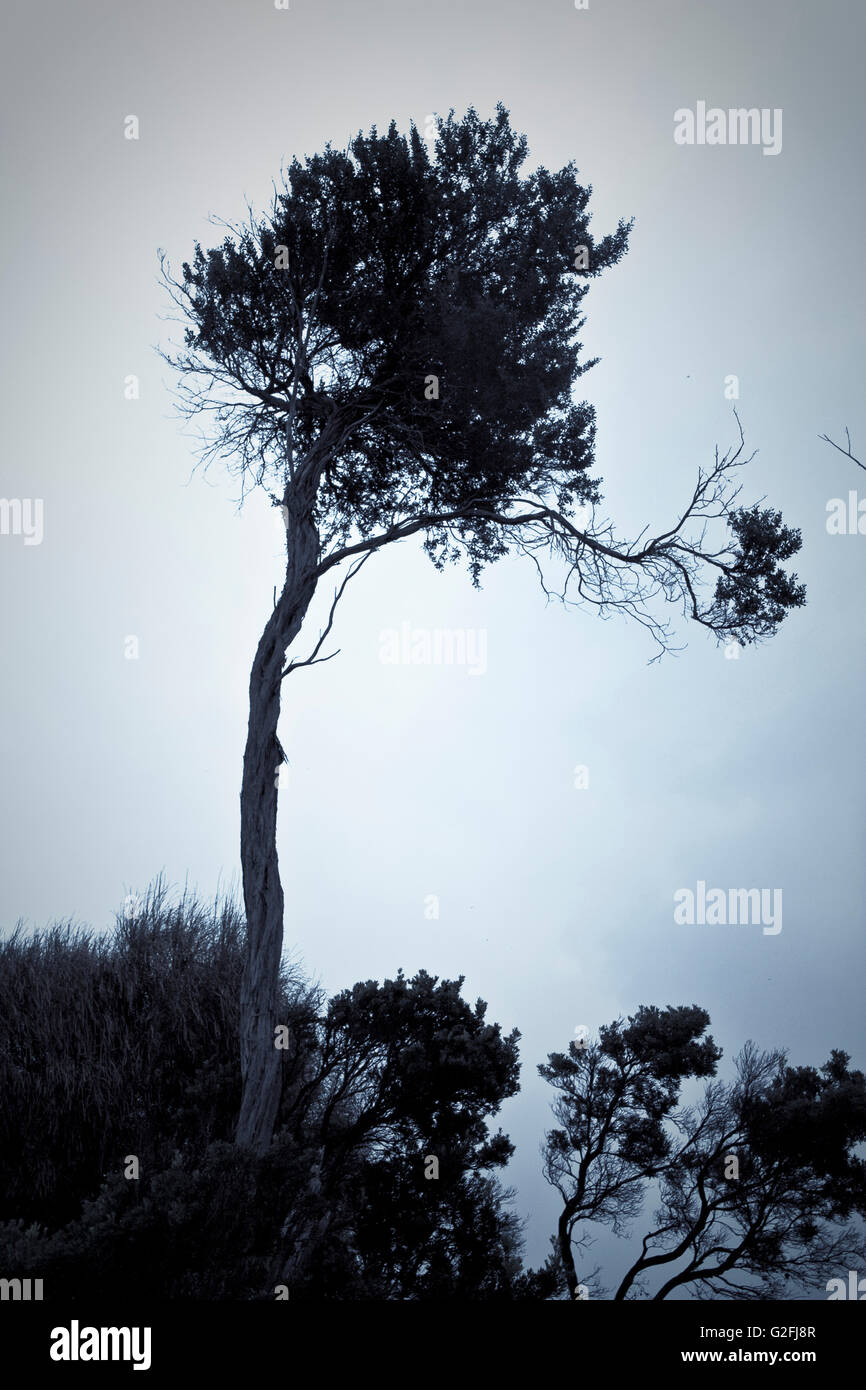 Bending slightly hi-res stock photography and images - Alamy