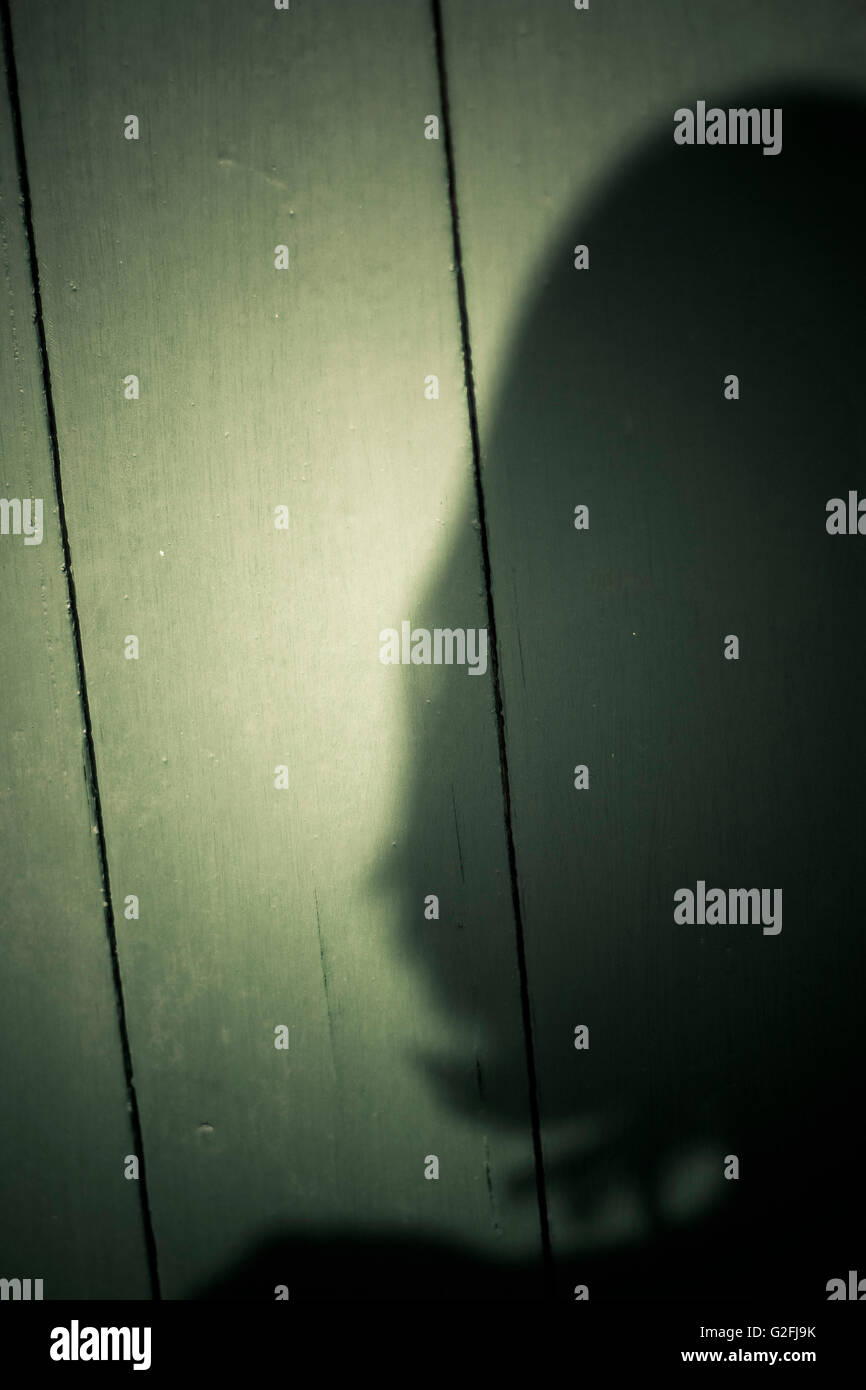 Person female head silhouette hi-res stock photography and images - Alamy