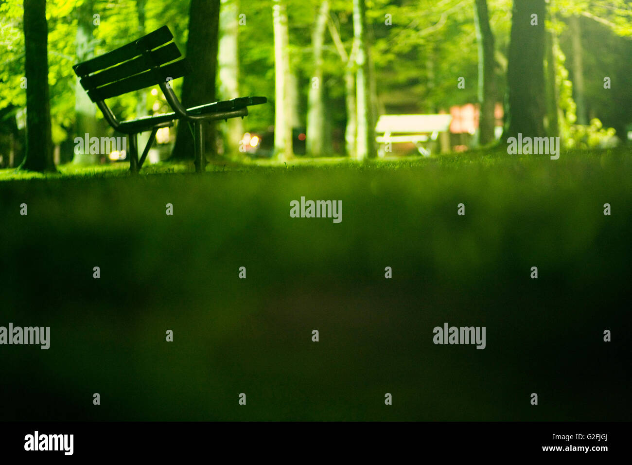Empty park benches at night hi-res stock photography and images - Alamy