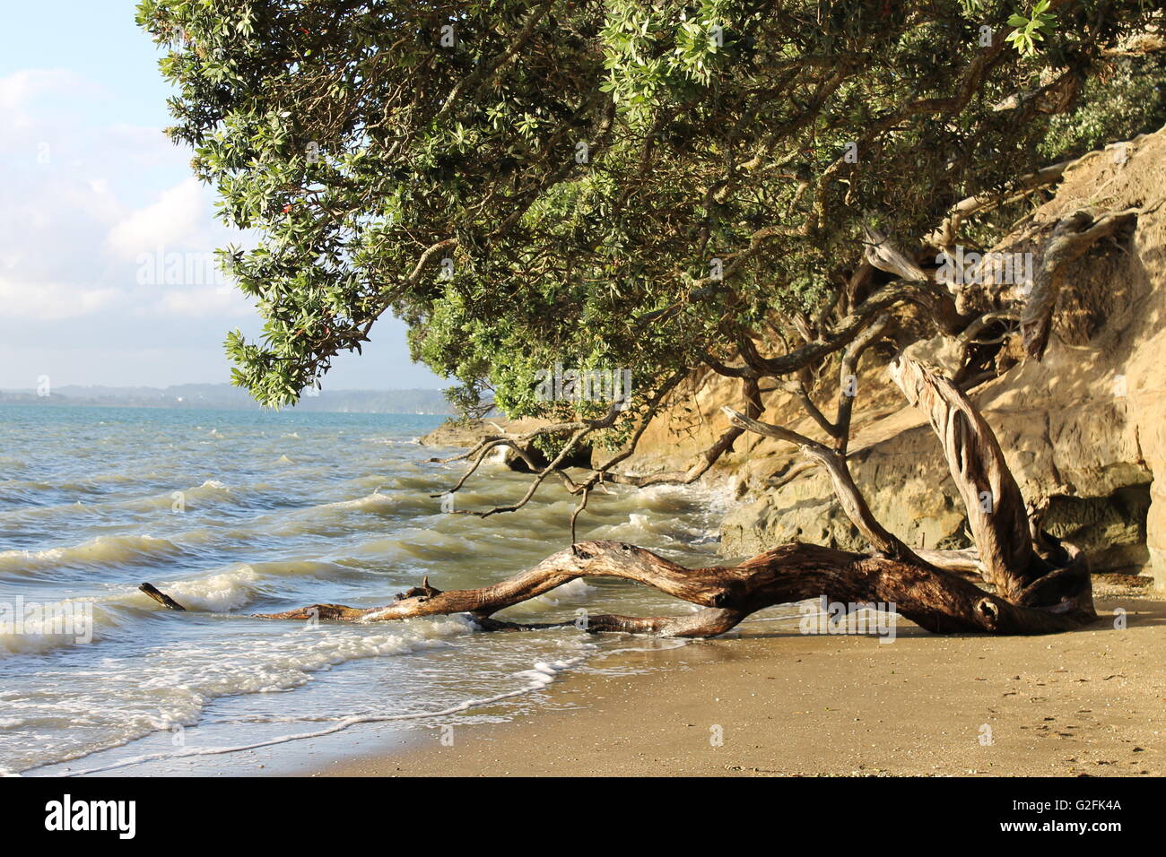 Pt chevalier beach hi-res stock photography and images - Alamy