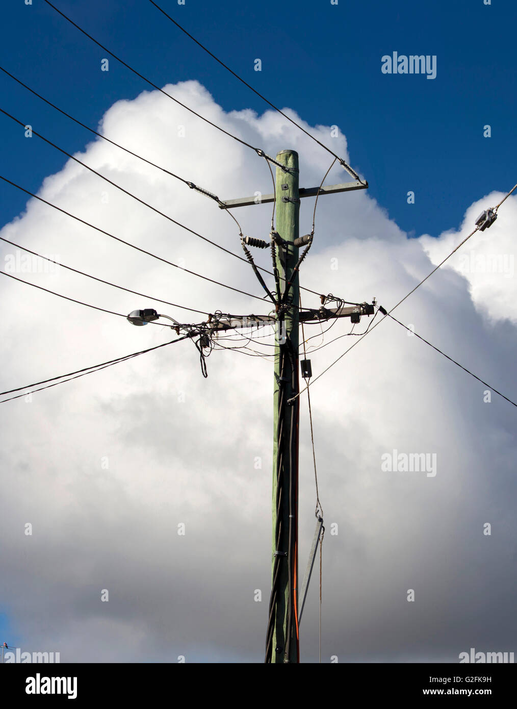 Suburban power lines and pole with fluffy white cumulus cloud ...