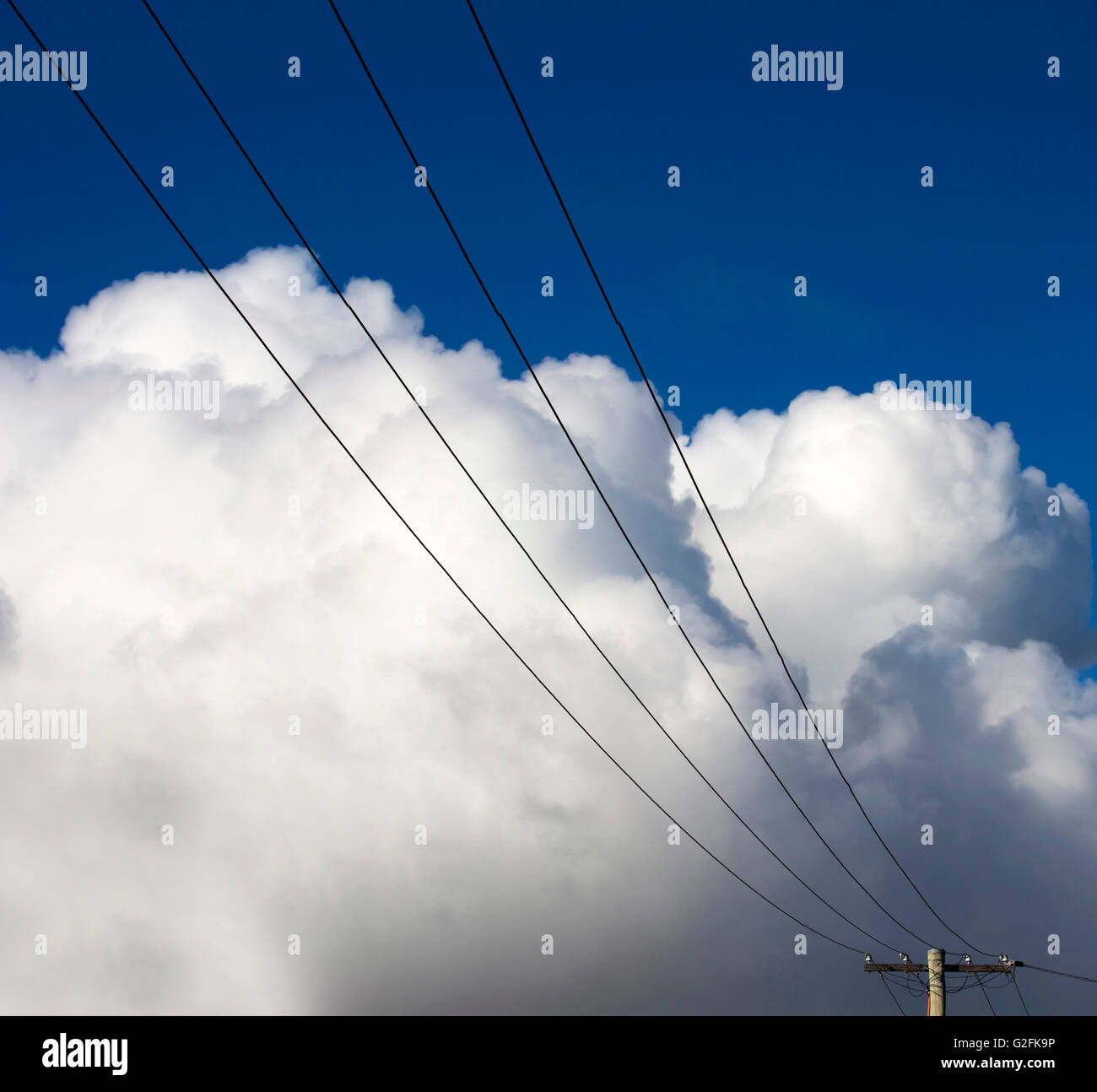 Suburban power lines and pole with fluffy white cumulus cloud ...