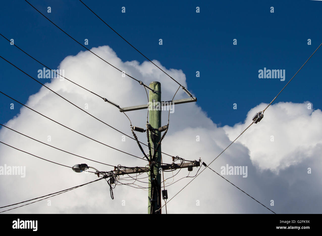 Suburban power lines and pole with fluffy white cumulus cloud ...