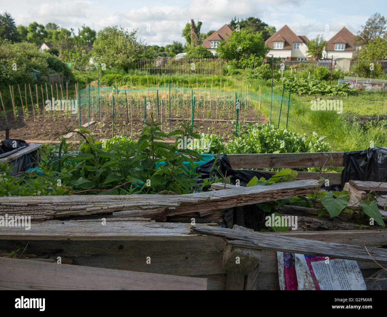 Shared urban garden hi-res stock photography and images - Alamy