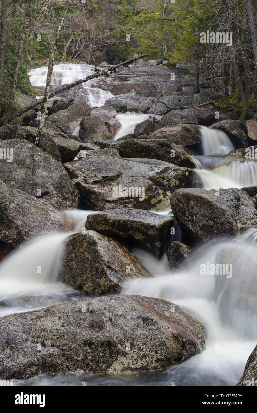 Harvard Brook in Lincoln, New Hampshire USA during the spring months ...
