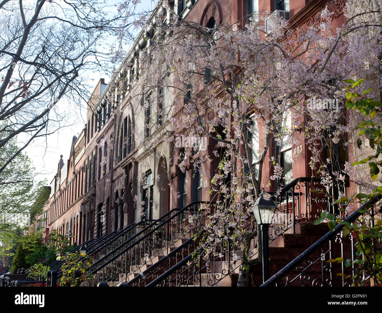 Brooklyn spring hi-res stock photography and images - Alamy