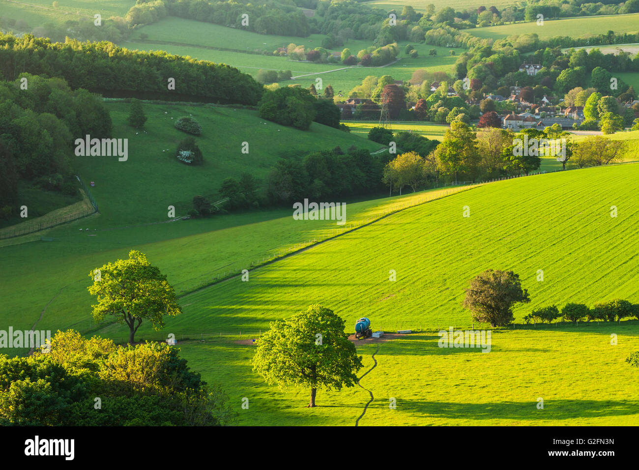 Spring evening on the South Downs, West Sussex, England Stock Photo - Alamy