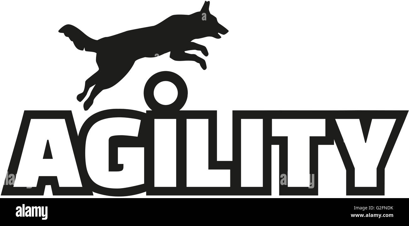 Agility word with jumping dog Stock Photo - Alamy