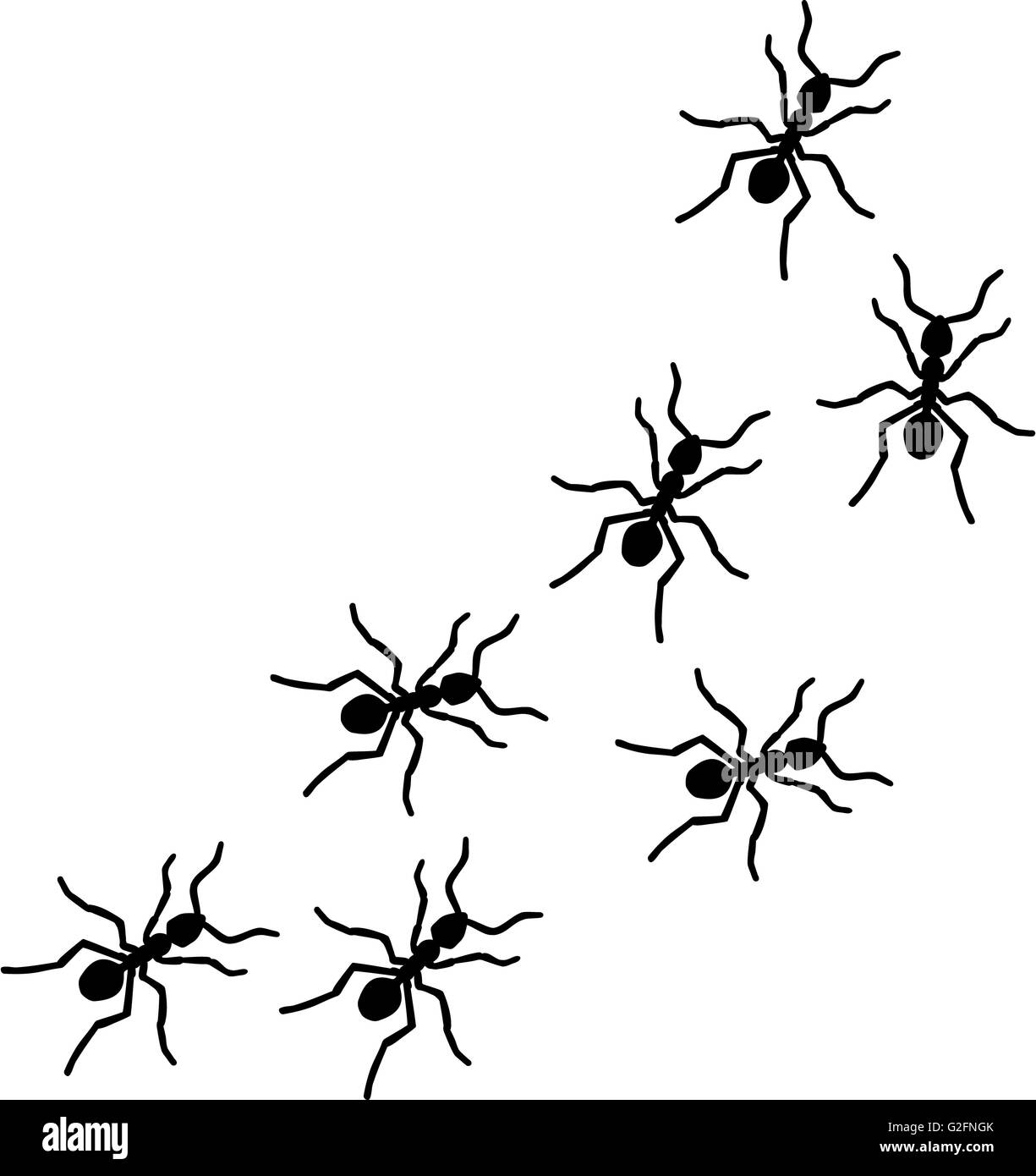 Ants silhouette Black and White Stock Photos & Images - Alamy