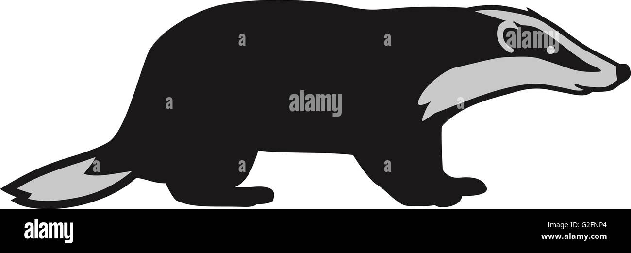 Badger two colors Stock Photo - Alamy