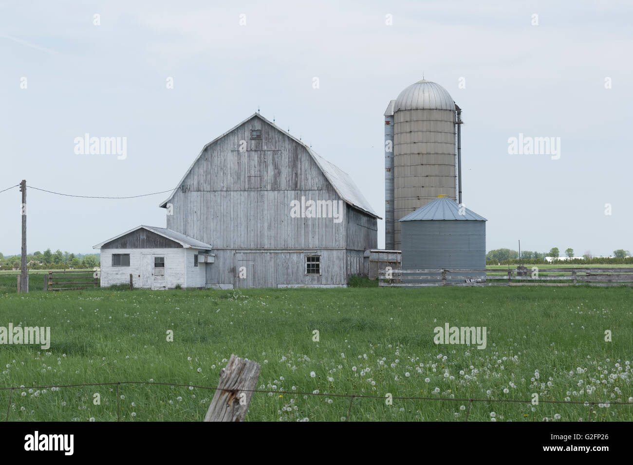 Decrepit barn in a farmers field Stock Photo - Alamy