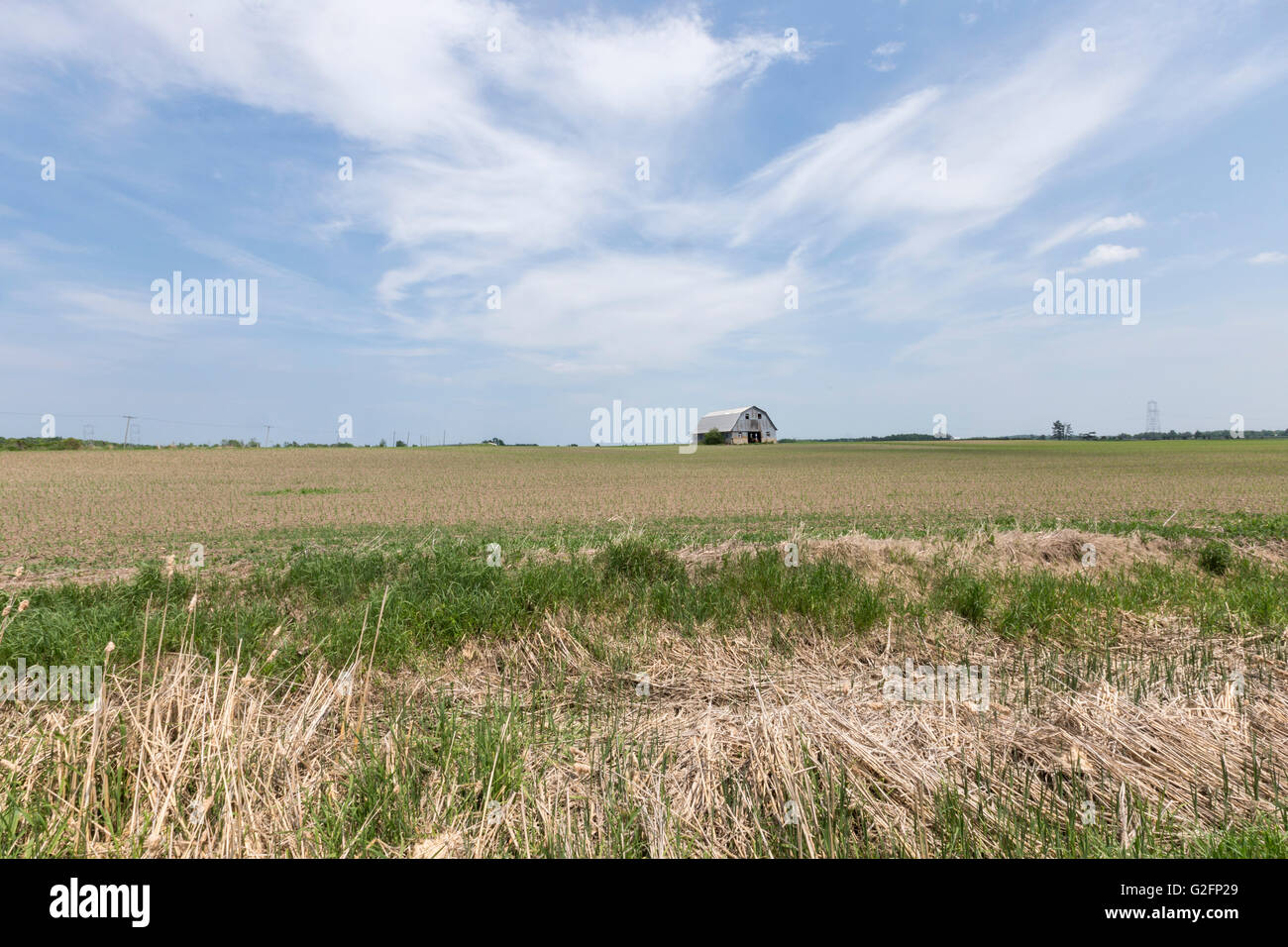 Decrepit barn in a farmers field Stock Photo - Alamy
