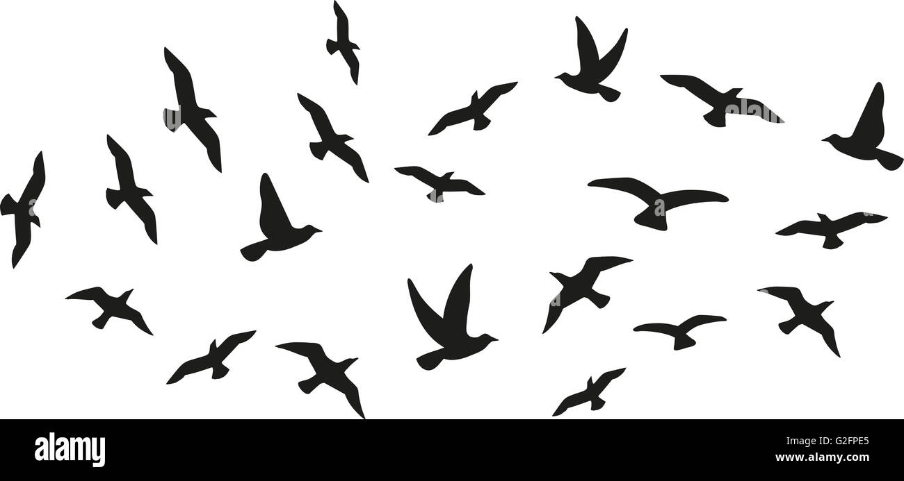 Flock of flying birds Stock Photo - Alamy