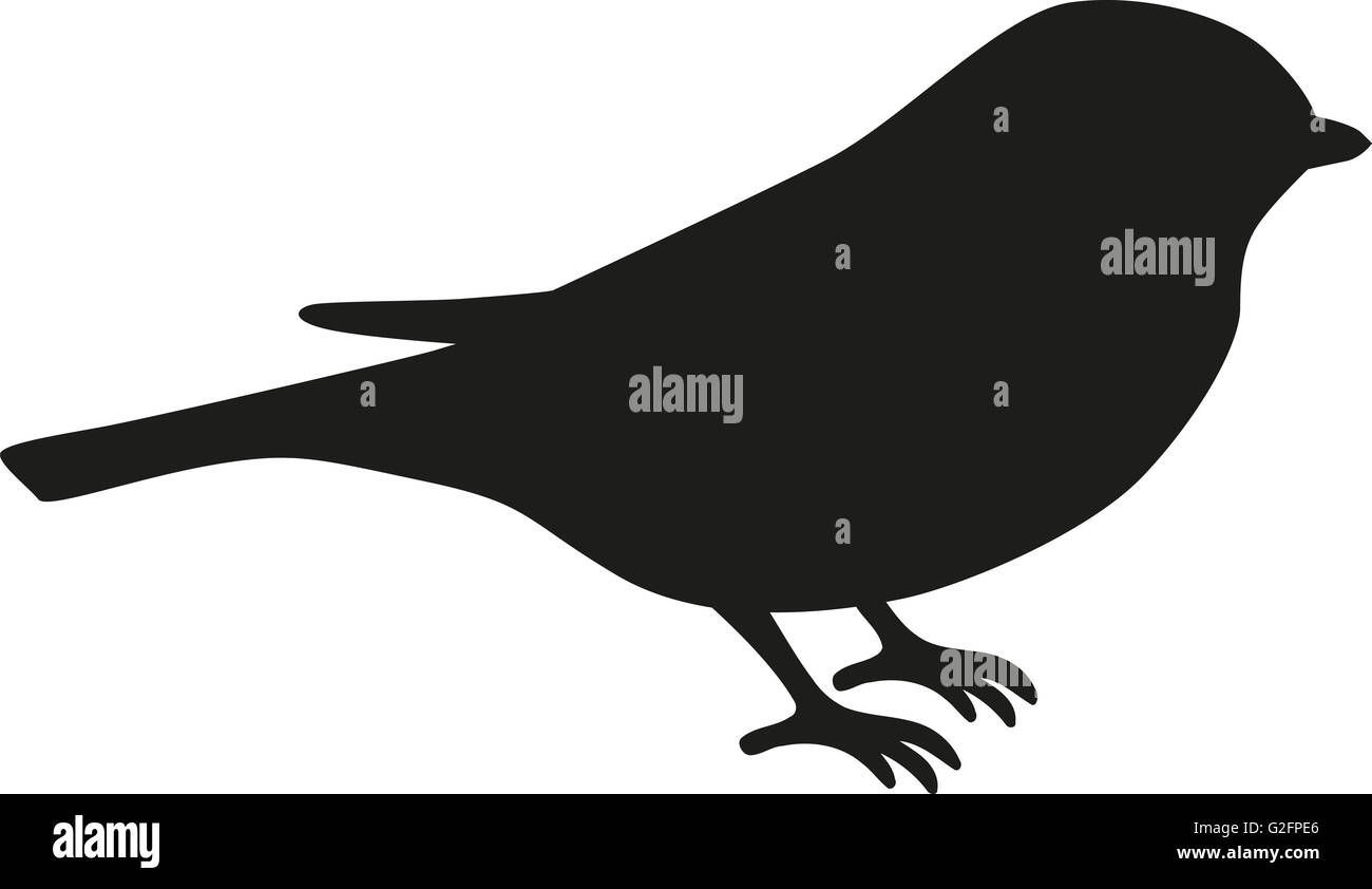 Bird silhouette tit Stock Photo - Alamy