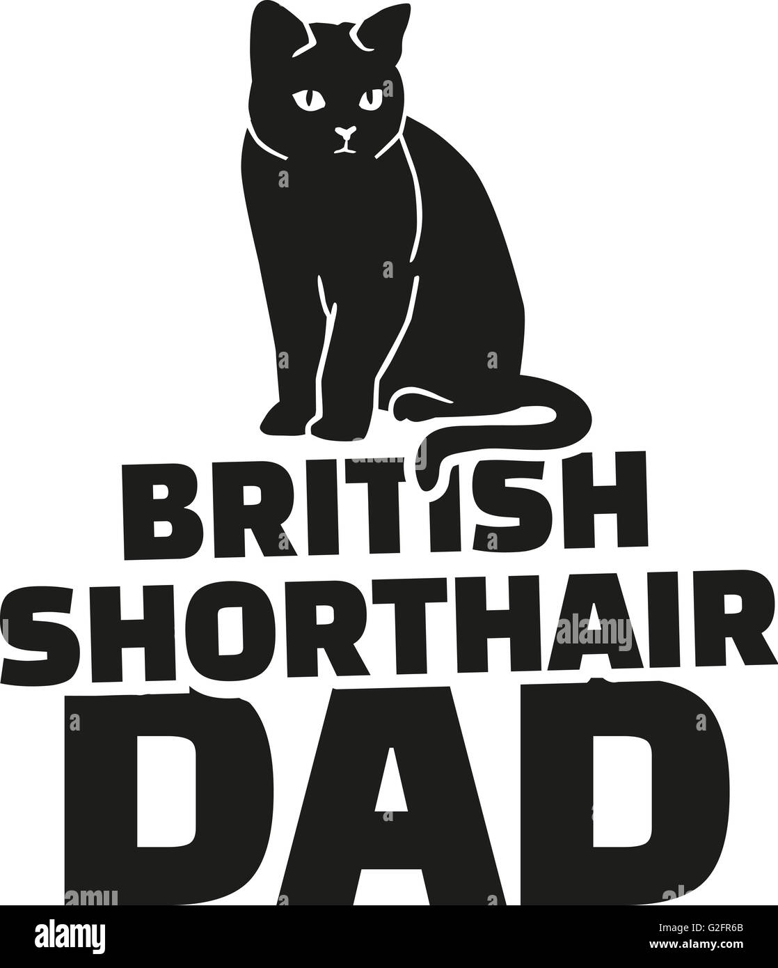 British Shorthair dad Stock Photo - Alamy