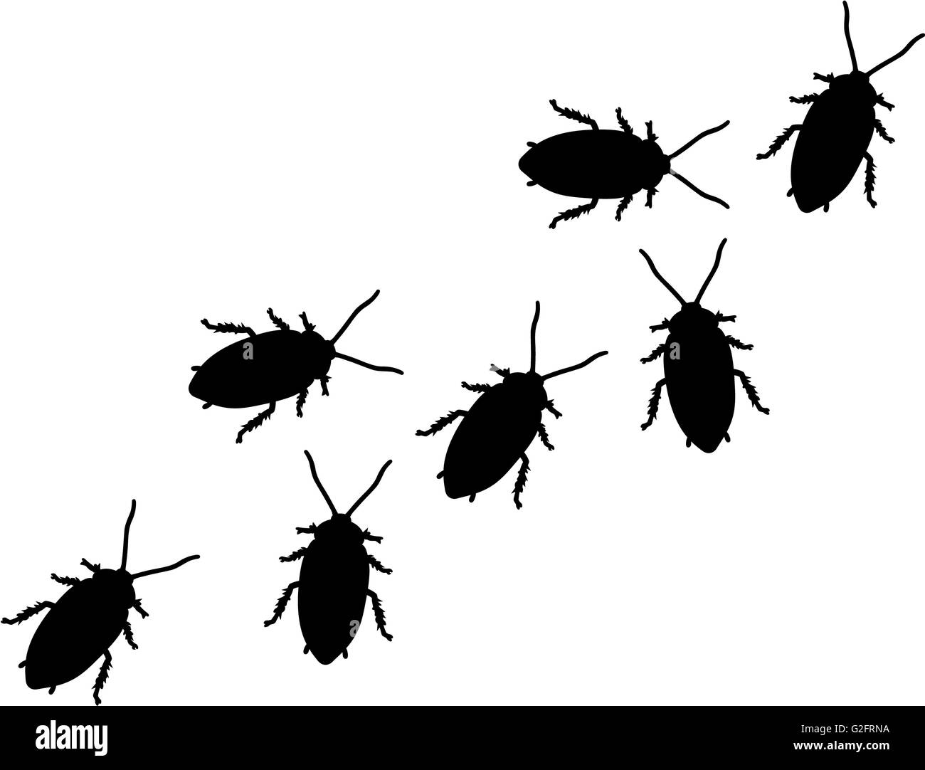 Group of Cockroaches Stock Photo - Alamy