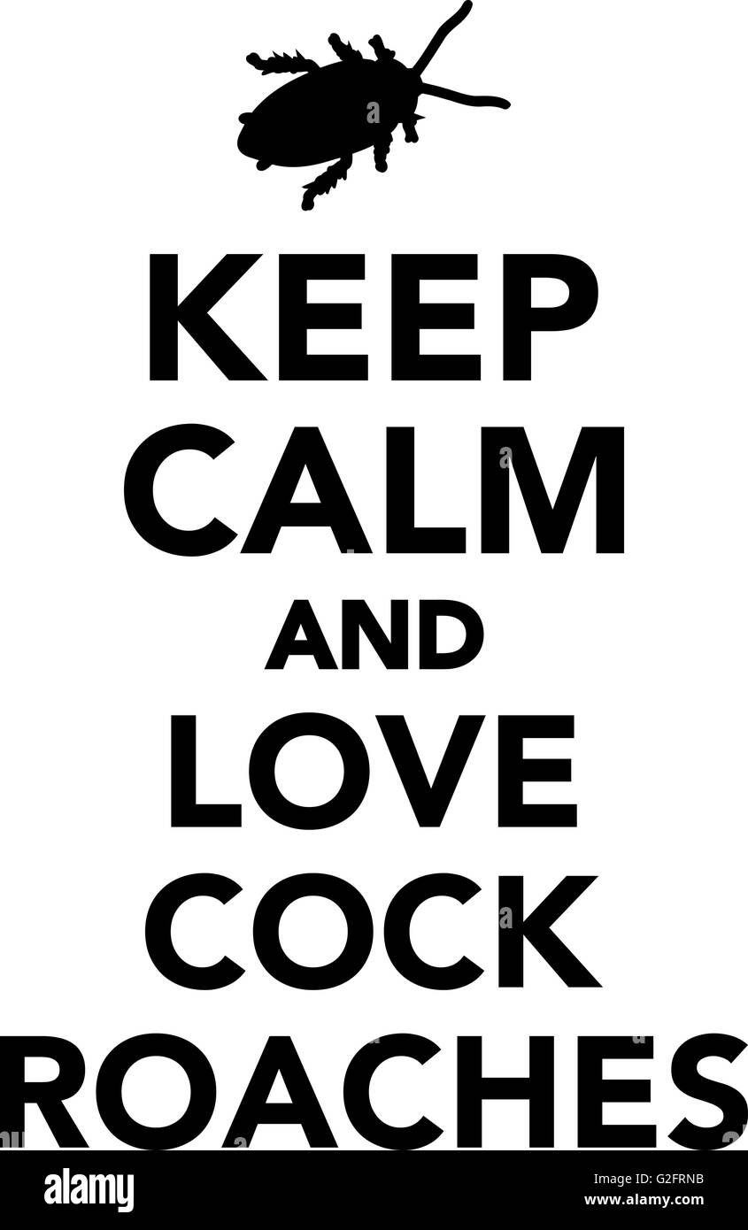 Insect cockroach roach Black and White Stock Photos & Images - Alamy