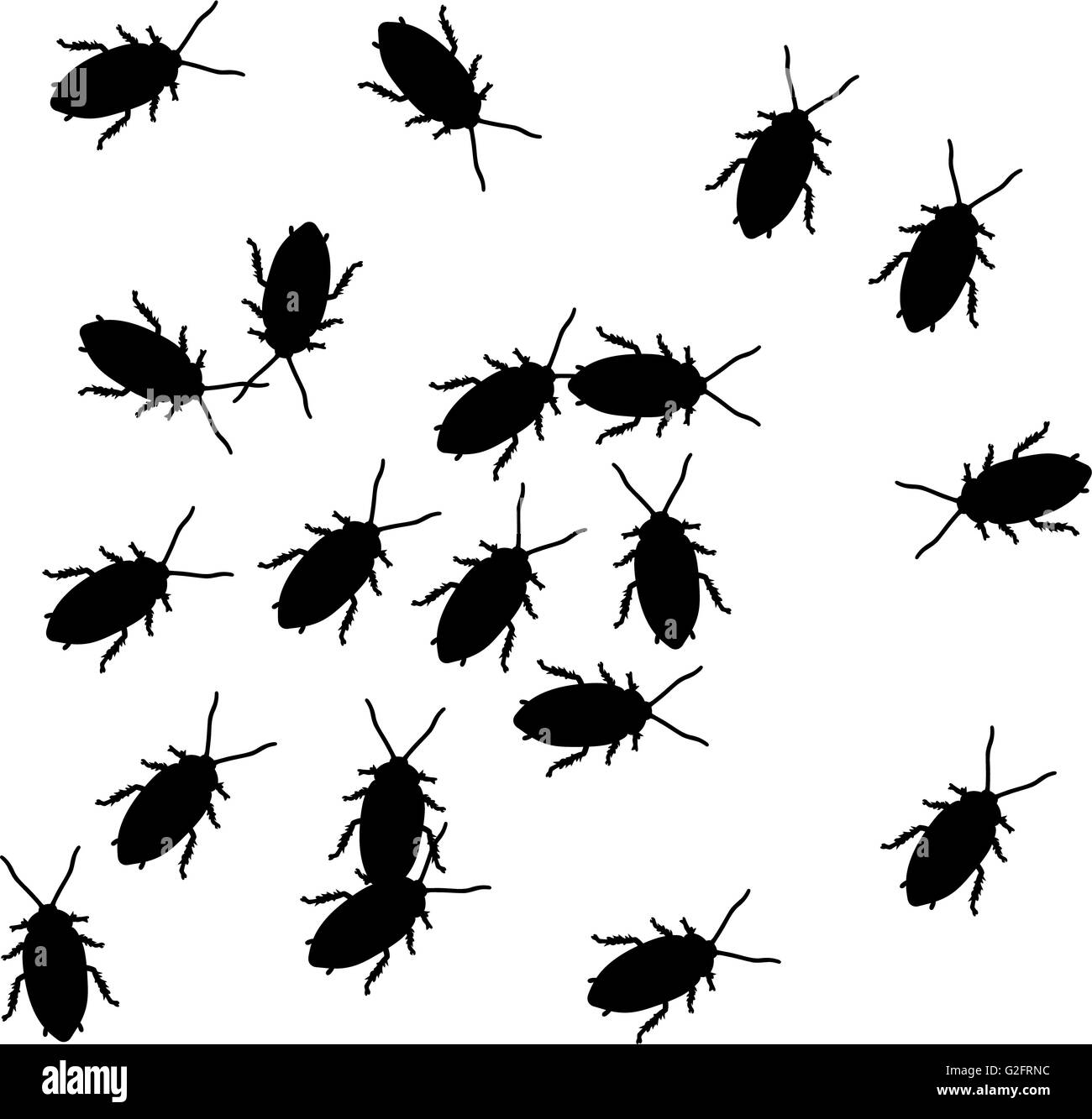 Cockroaches Black and White Stock Photos & Images - Alamy