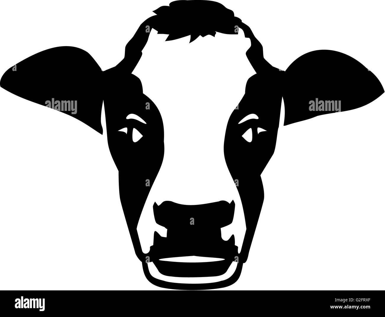 Cow head real Stock Photo - Alamy