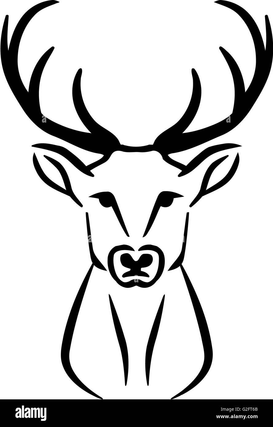 Deer Head on white background Stock Photo - Alamy