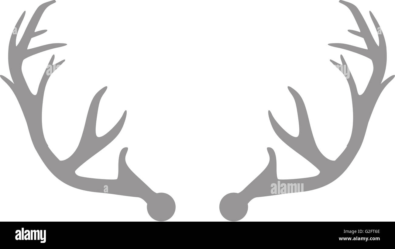 Grey deer antlers Stock Photo - Alamy