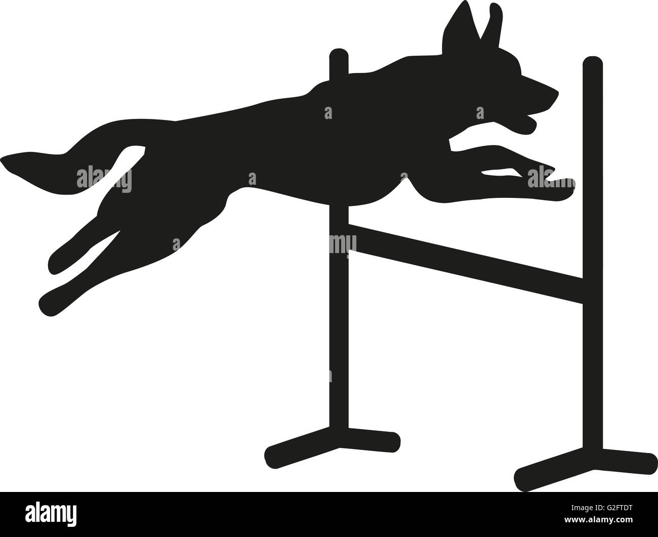 Dog agility jumping over hurdle Stock Photo - Alamy