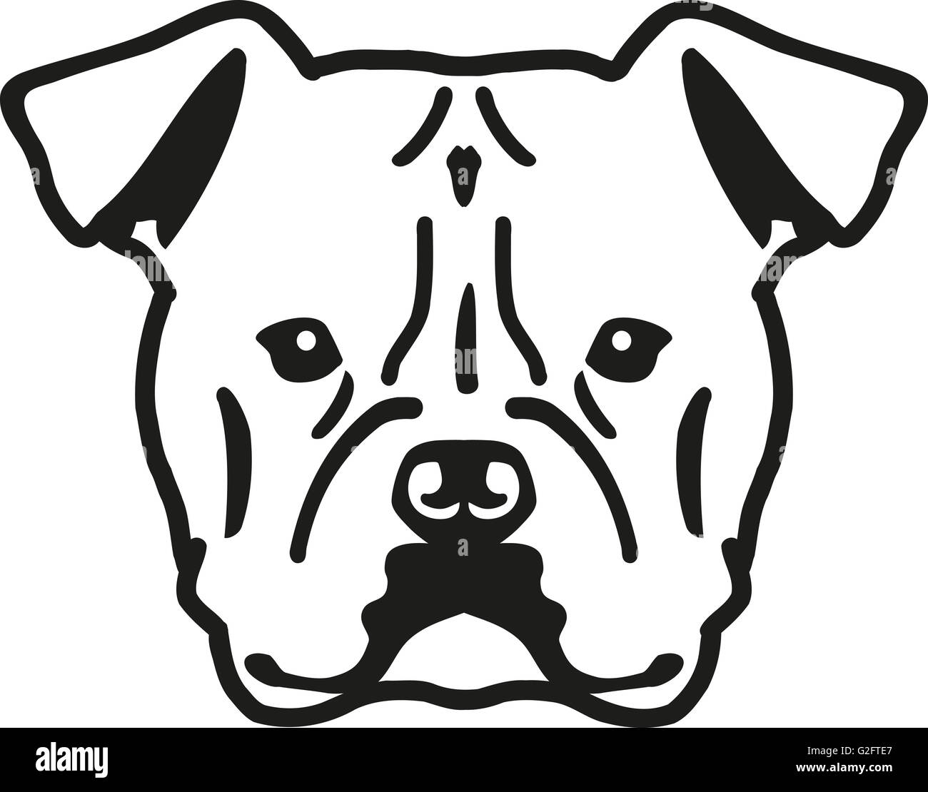American Bulldog head Stock Photo - Alamy