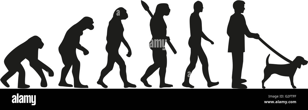 Beagle dog evolution Stock Photo - Alamy