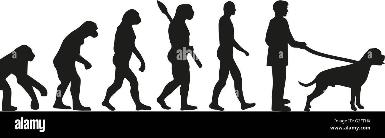 Boxer dog evolution Stock Photo - Alamy