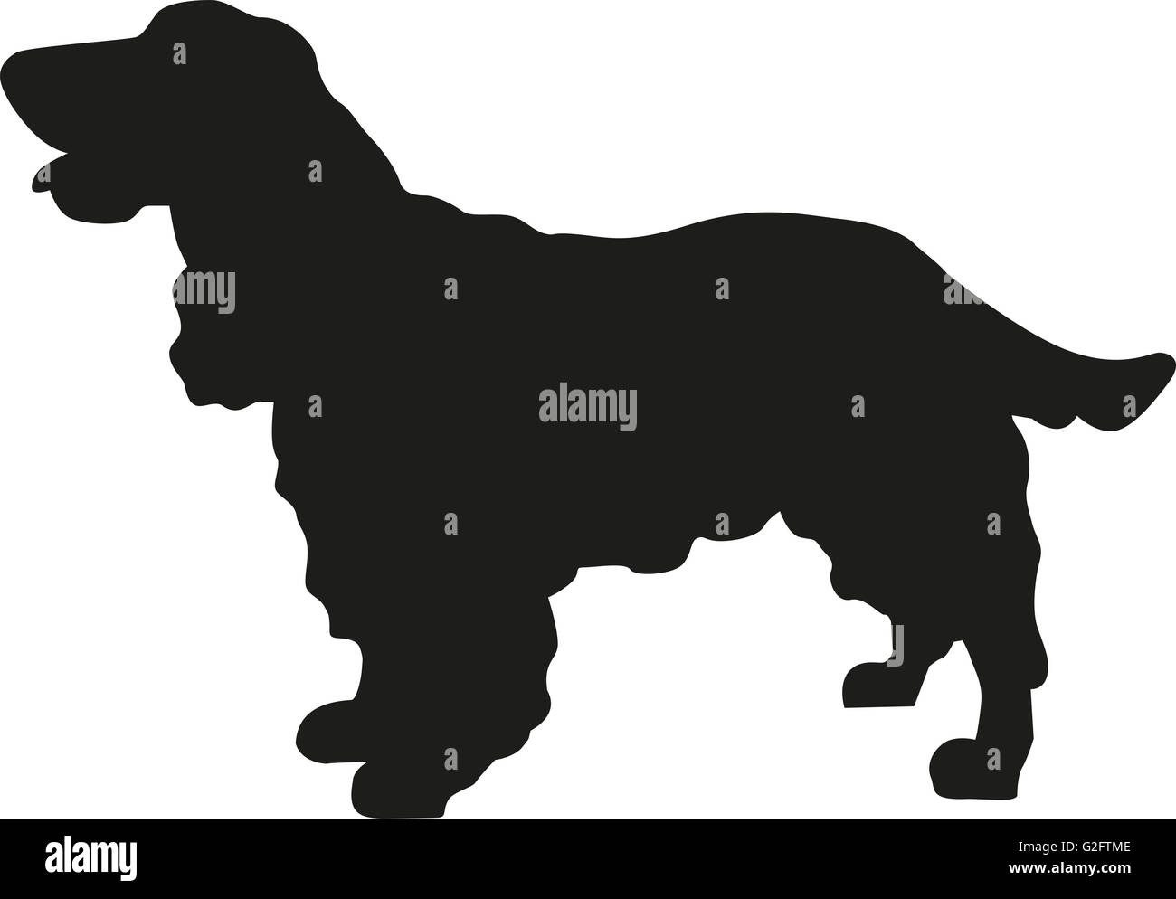 Dog Silhouette Cocker Spaniel High Resolution Stock Photography and ...
