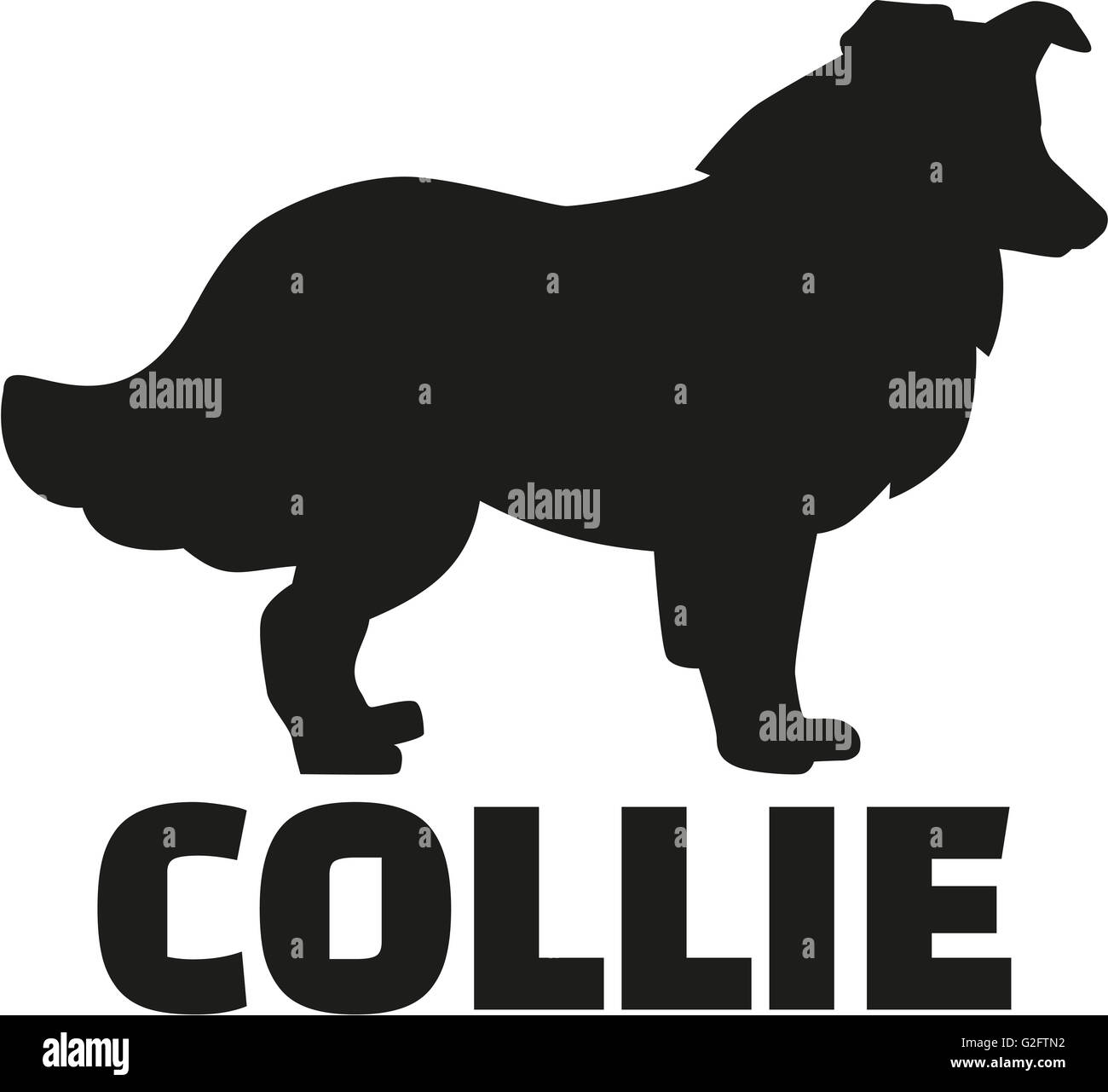Border collie logo hi-res stock photography and images - Alamy