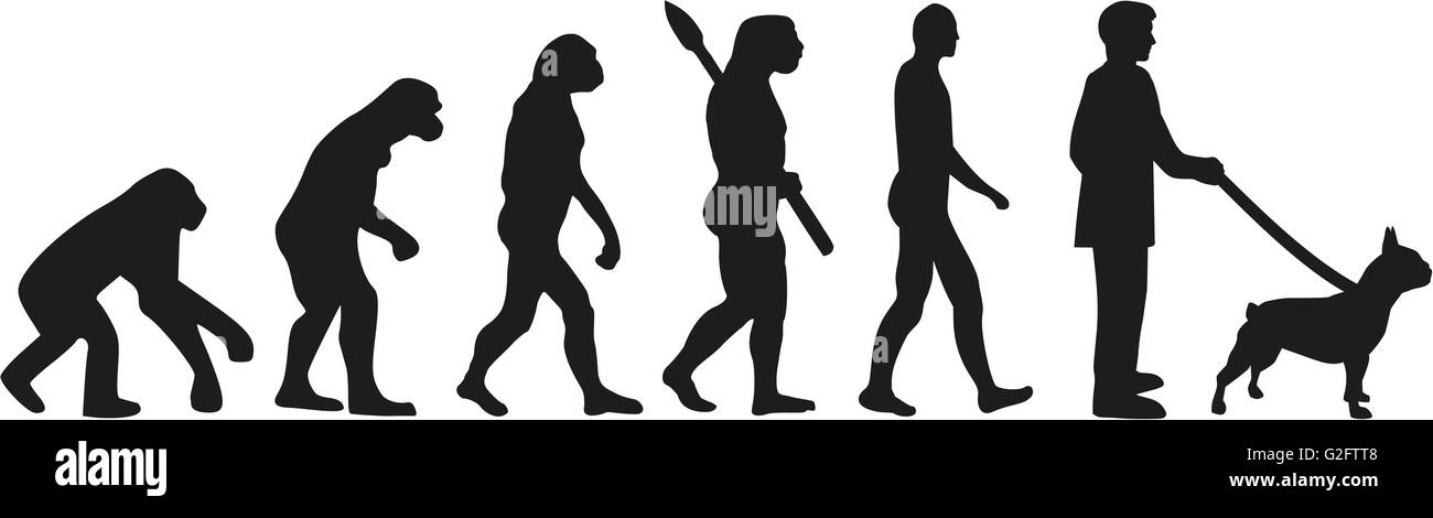 French bulldog evolution Stock Photo - Alamy