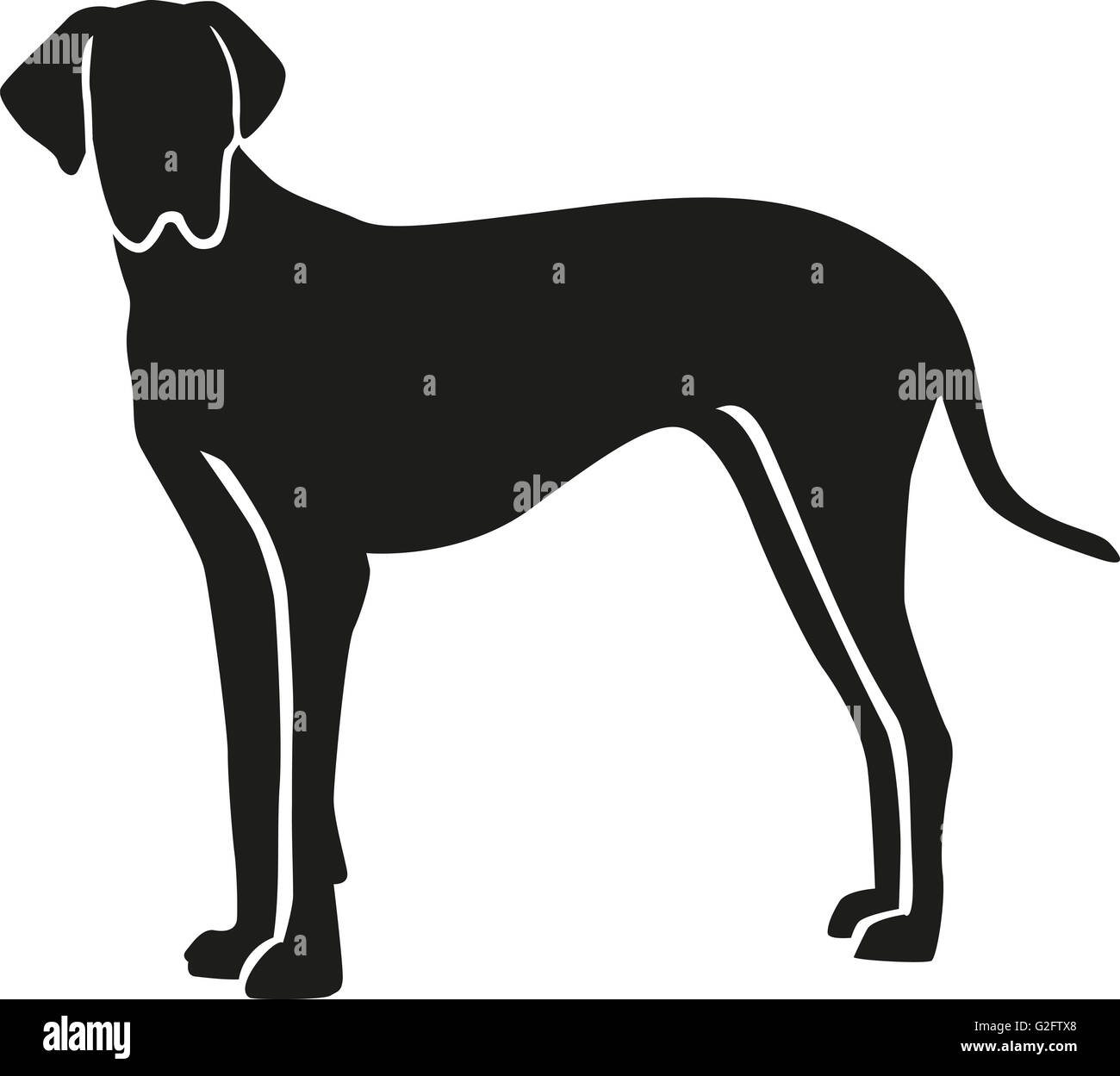 Great dane illustration Cut Out Stock Images & Pictures - Alamy