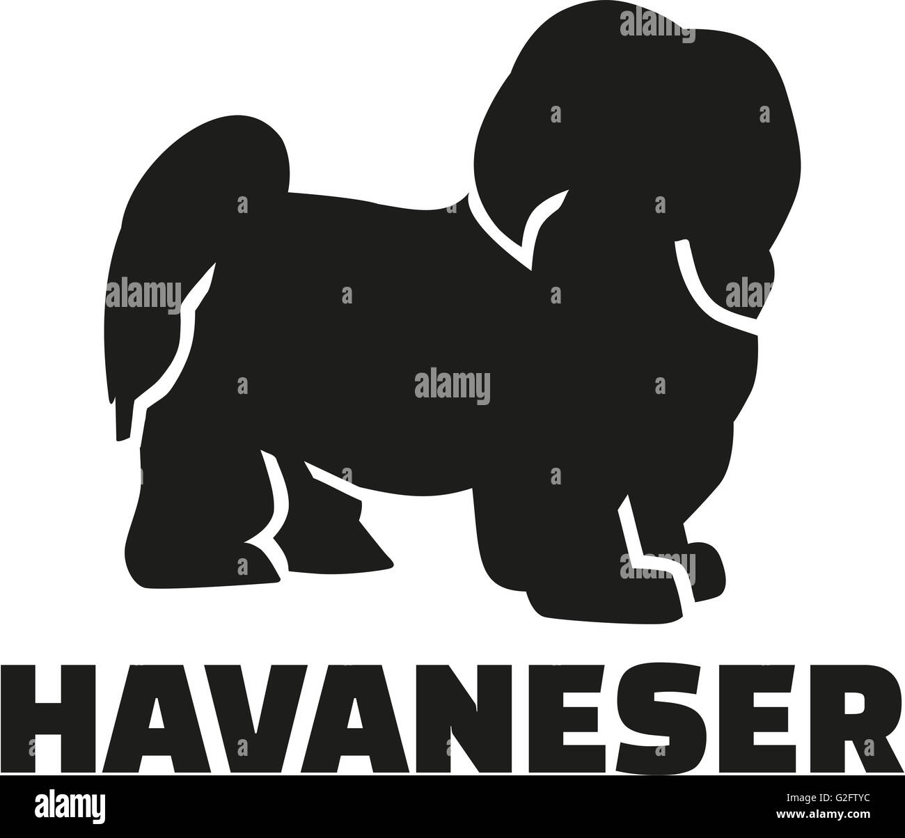 German cuban hi-res stock photography and images - Alamy