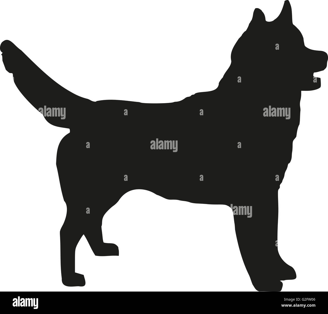 Siberian husky silhouette hi-res stock photography and images - Alamy