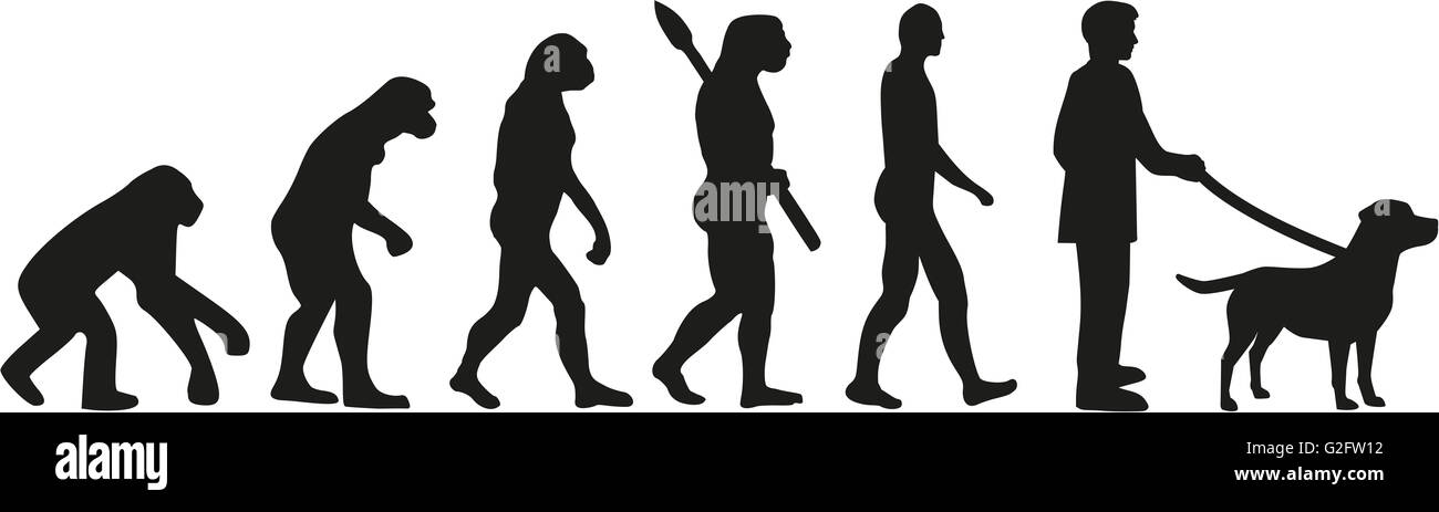 History labrador hi-res stock photography and images - Alamy