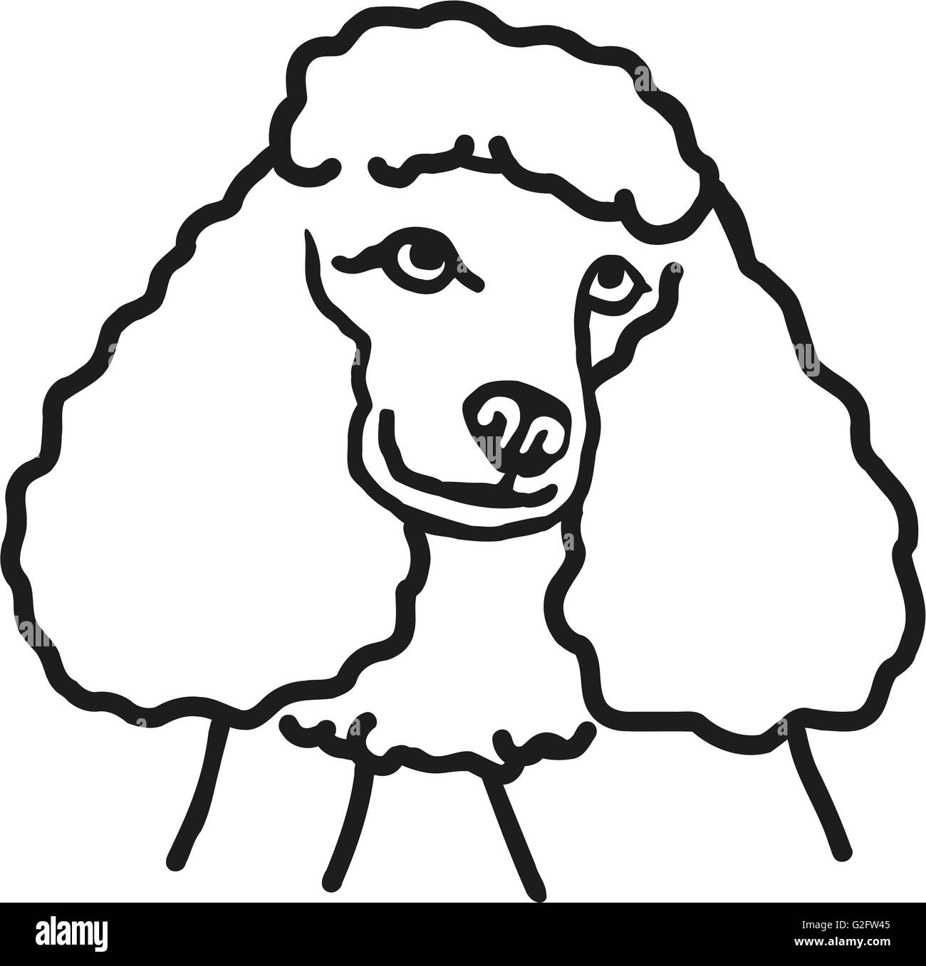 Poodle graphic hi-res stock photography and images - Alamy