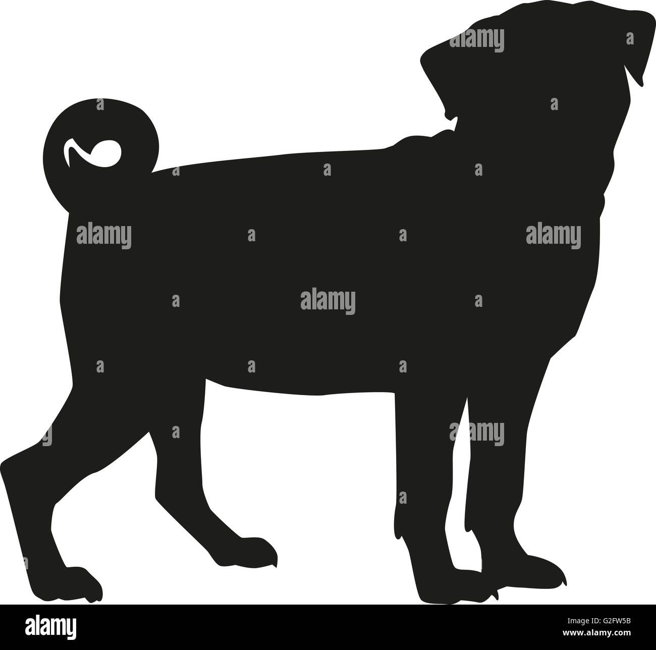 Dutch mastiff hi-res stock photography and images - Alamy