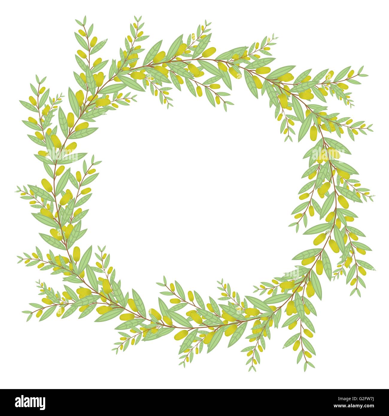 Olive wreath. Isolated vector illustration on white background. Organic ...