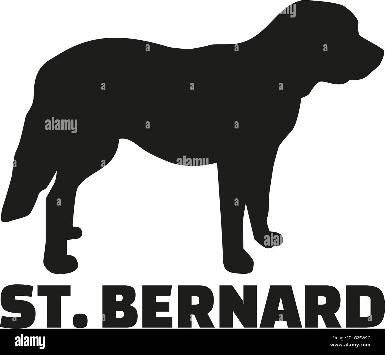 St. Bernard dog with breed name Stock Photo - Alamy