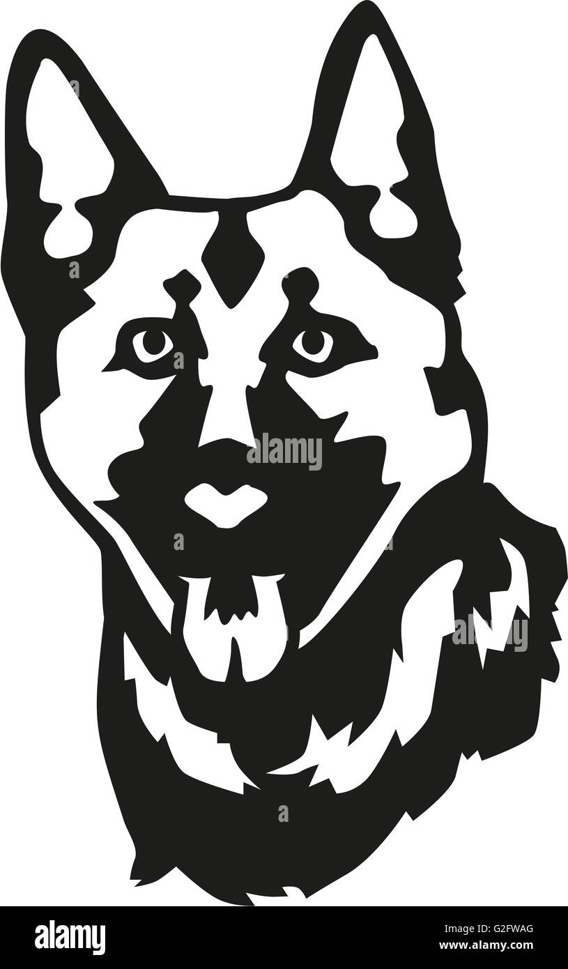 Alsatian Head High Resolution Stock Photography and Images - Alamy