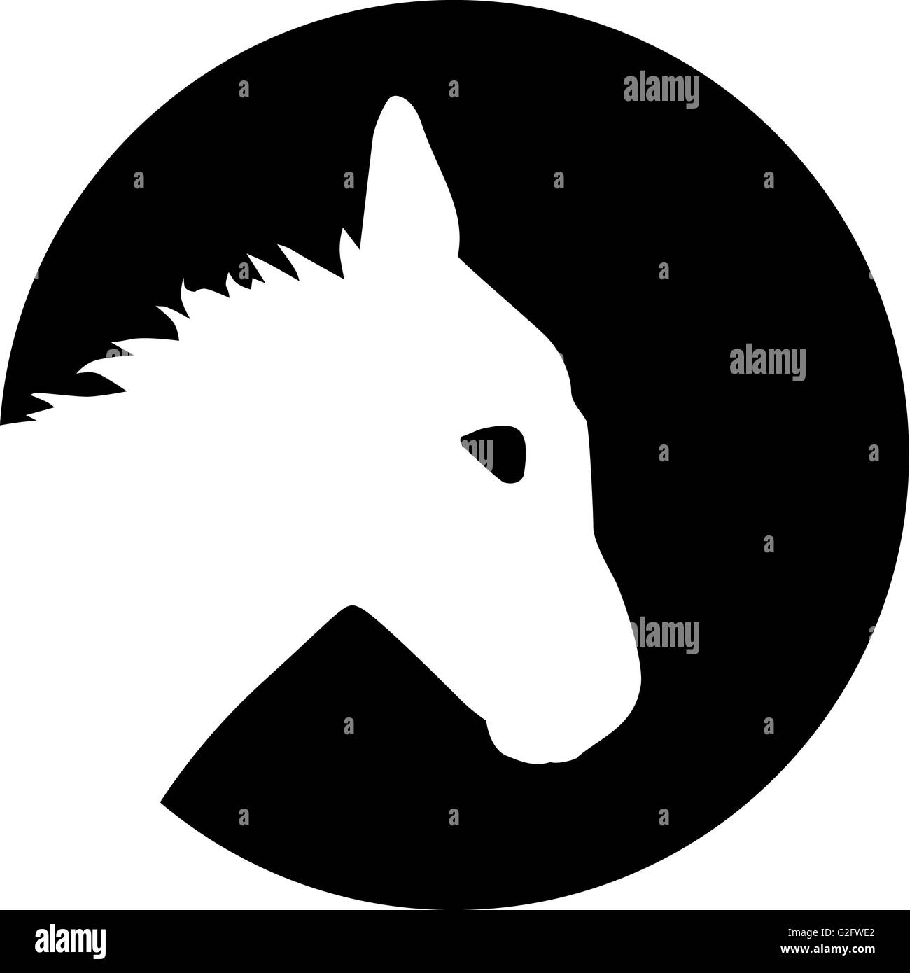 Donkey in front of moon Stock Photo - Alamy